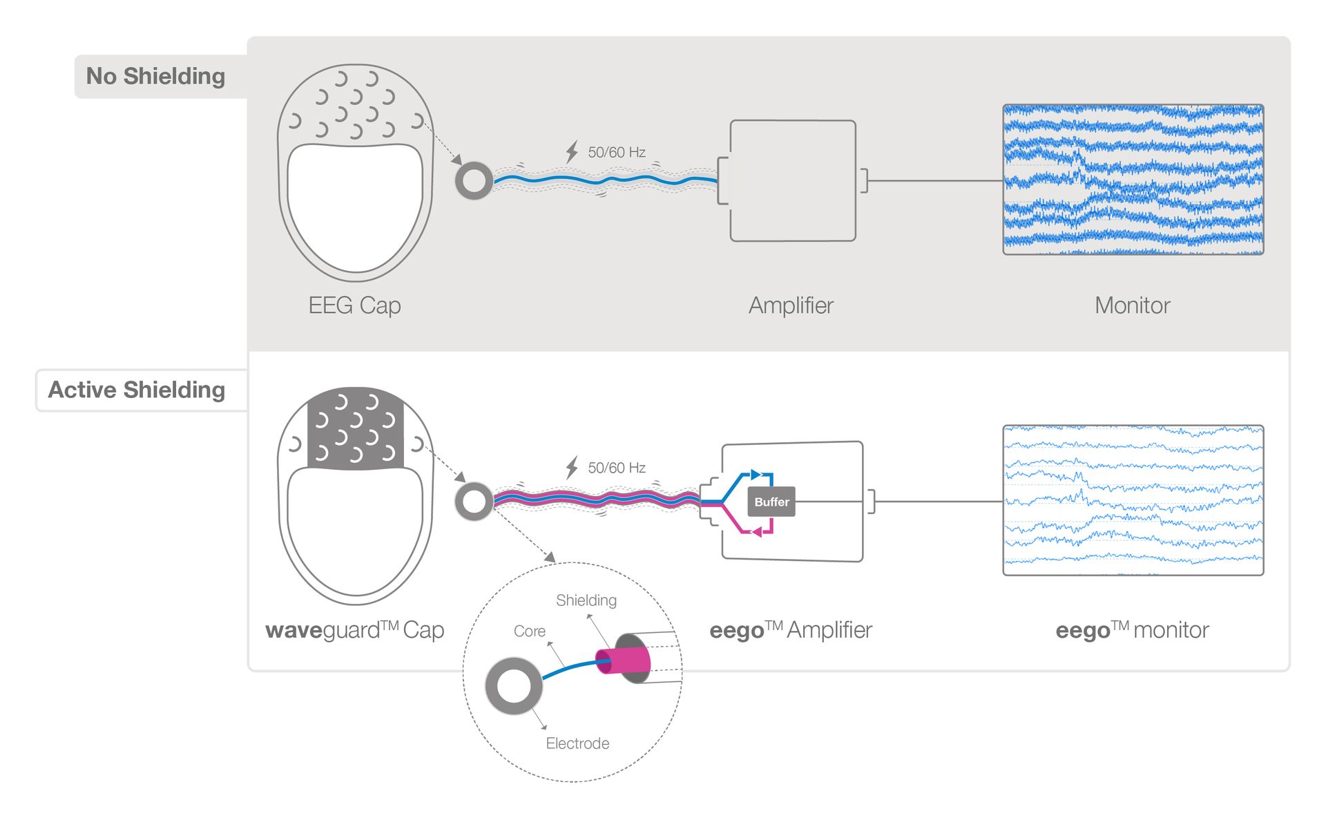 Explore Cognition and Perception with ANT Neuro